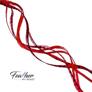 Red Hair Feather Extension Kit. 6 Real Feathers With Long Lengths ...