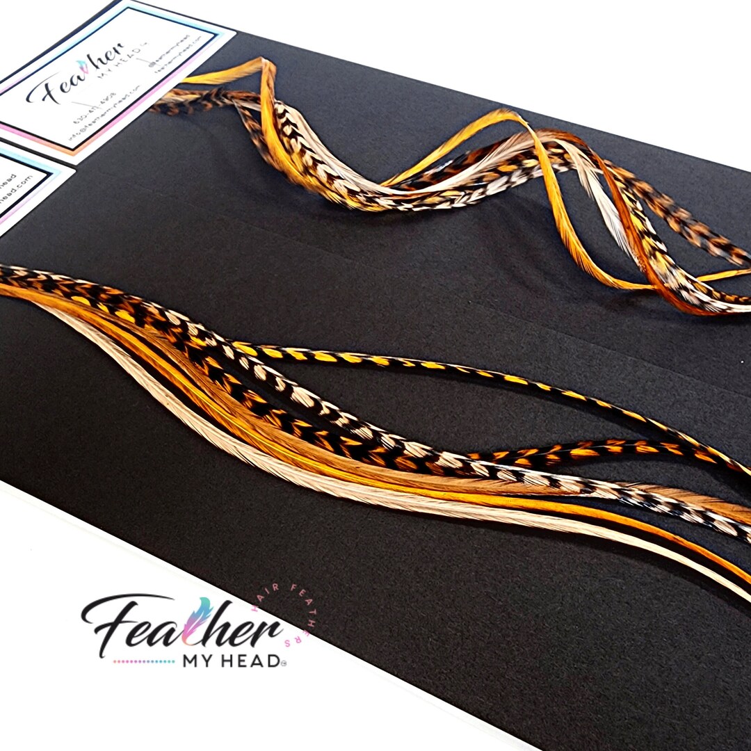 Feather Hair Extension Kit, 6 Real Hair Feathers, Pick Your Length up ...