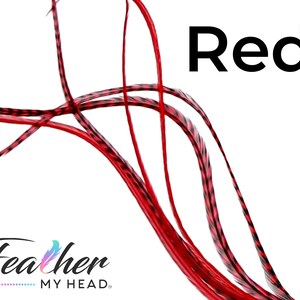Red Hair Feather Extension Kit. 6 Real Feathers With Long Lengths ...