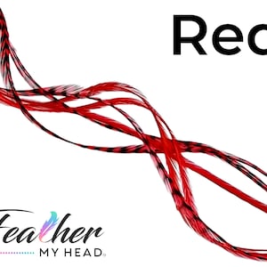 Red Hair Feather Extension Kit. 6 Real Feathers With Long Lengths ...