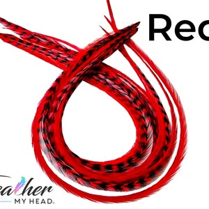 Red Hair Feather Extension Kit. 6 Real Feathers With Long Lengths ...