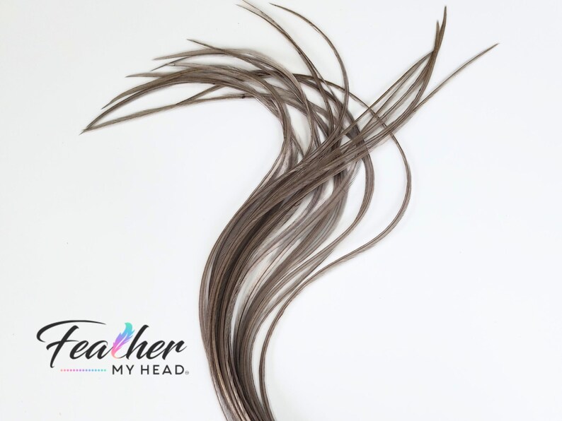 Light Gray Dun Hair Feather Extensions, Pick Your Length up to 16 Plus ...