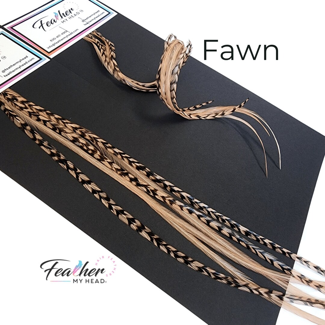 Brown Feather Hair Extension Kit, 6 Real Feathers With Optional DIY Kit ...