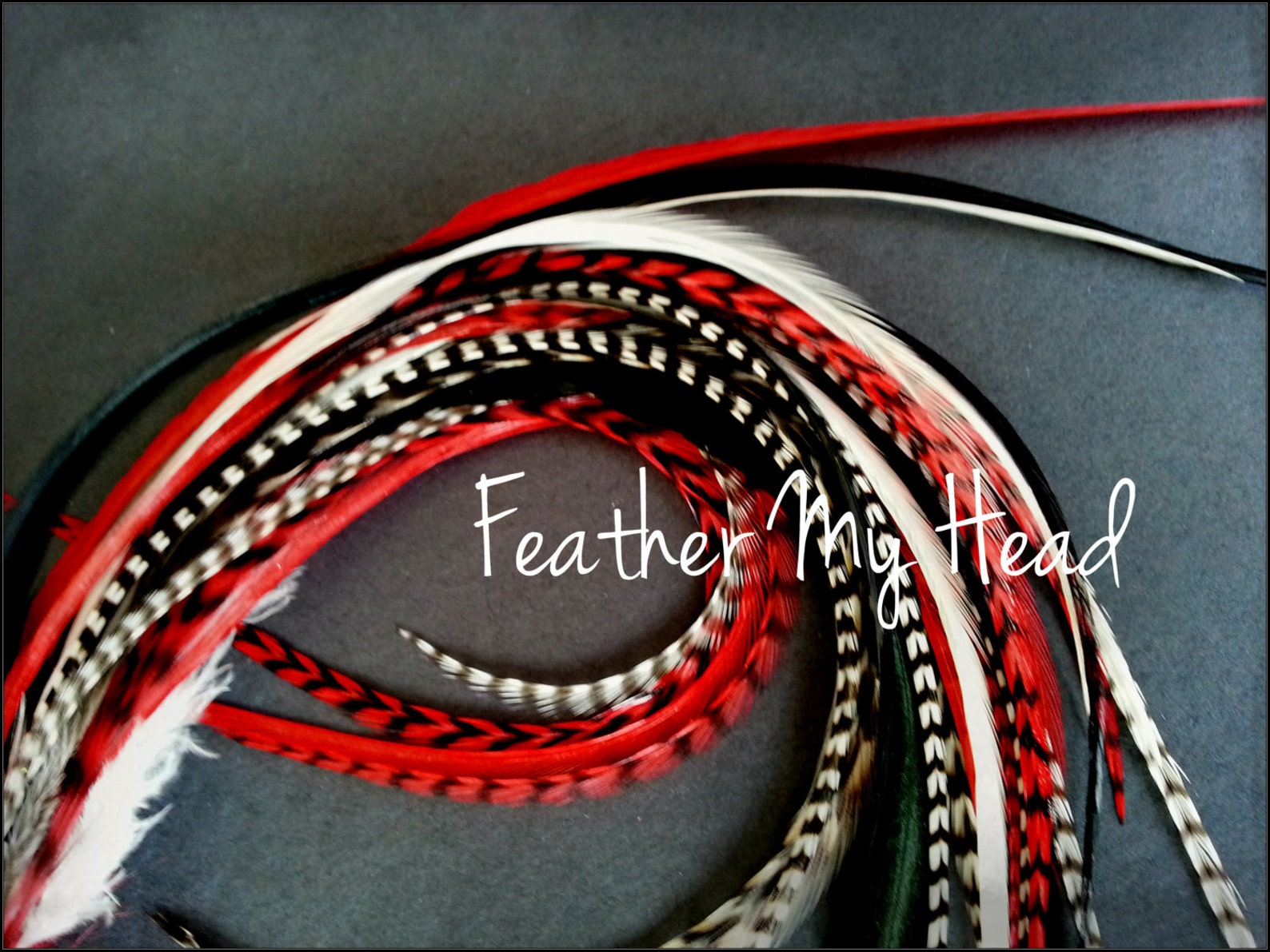Red Black and White Hair Feather Extensions. Long Lengths and - Etsy