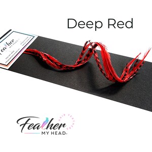 Deep Red Hair Feather Extension in Long Lengths up to 16 Long. Feather ...