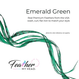 Emerald Green Hair Feather Extensions. (1) Feather, Long Lengths and ...
