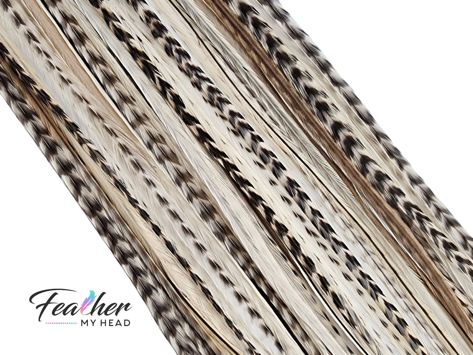 Feathers 16 Pc Pick Your Length up to 16 in Long Real Hair Feathers ...