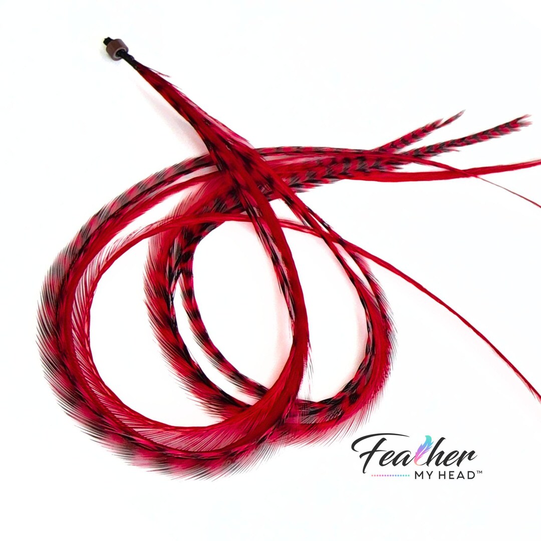 Red Hair Feather Extensions. (1) Feather, Long Lengths and Hair Feather ...