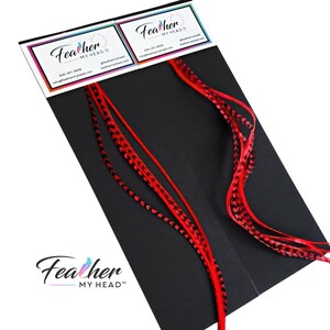 Red Hair Feather Extension Kit. 6 Real Feathers With Long Lengths ...
