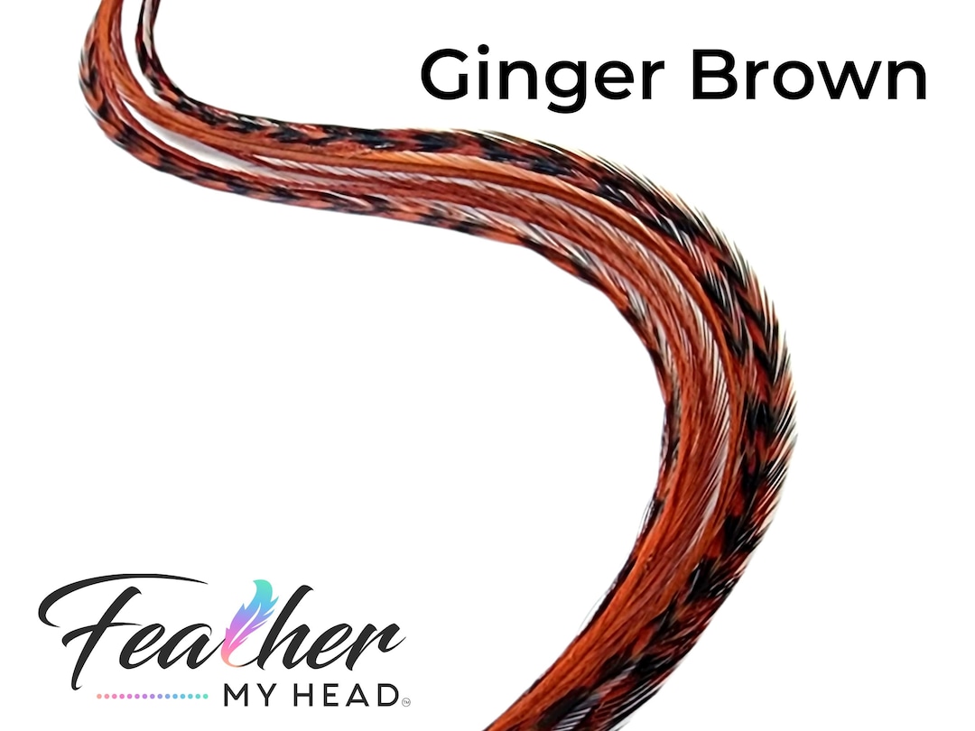 Ginger Brown Hair Feather Extension Kit, (6) Real Feathers With ...