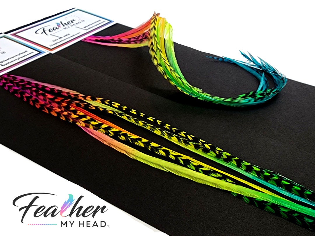 Rainbow Feather Hair Extension Kit, 6 Real Feathers in Lengths up to 16 ...