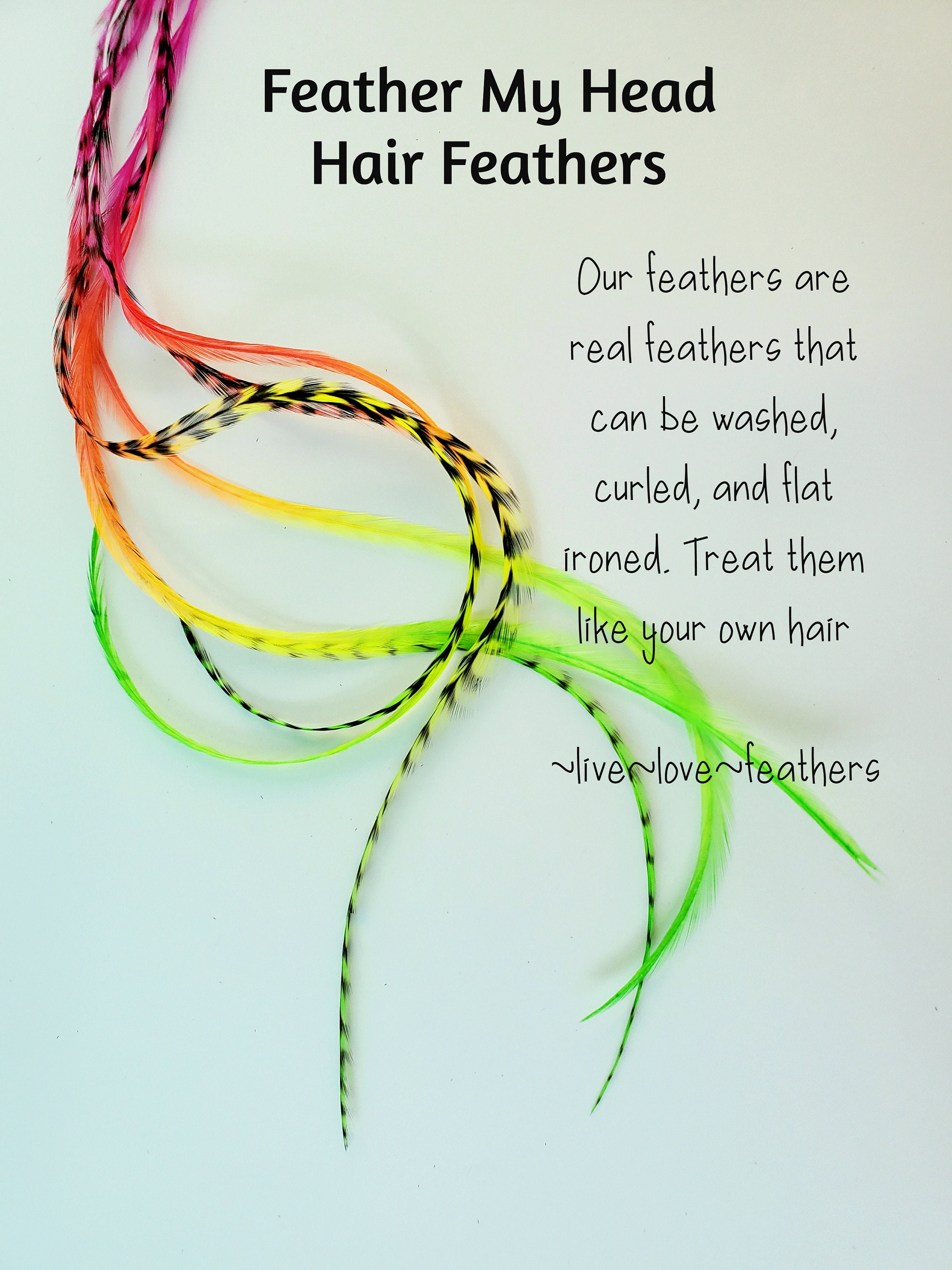 6 Real Feathers Optional Do It Yourself Kit Pick Your | Etsy