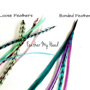 16 Real Feathers, Options Available: DIY Kit, Loose or Bonded, Pick ...