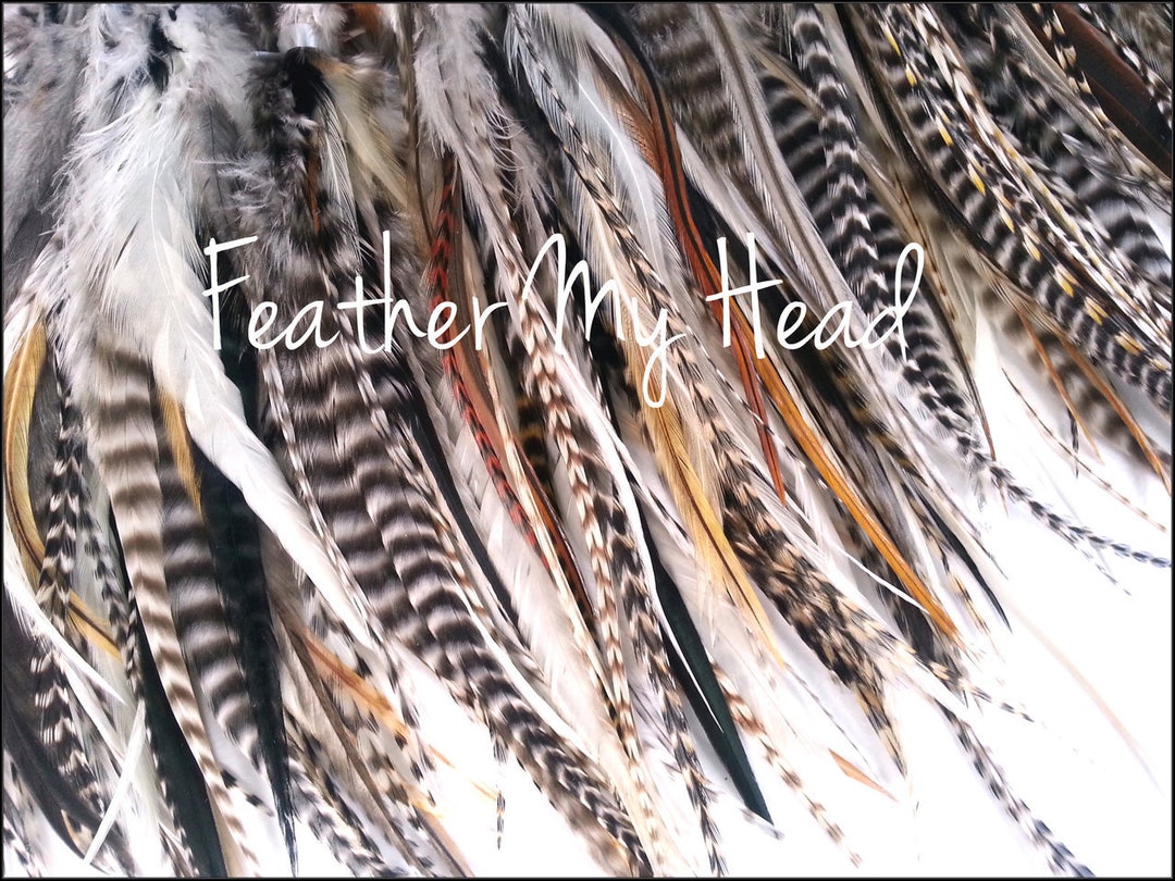 25 Hair Long Hair Feathers - 7-11 Inch - Natural Wide Accent Feathers ...