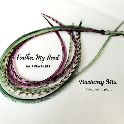 Feather Hair Extension Kit 6 Real Feathers Pick Your Length - Etsy
