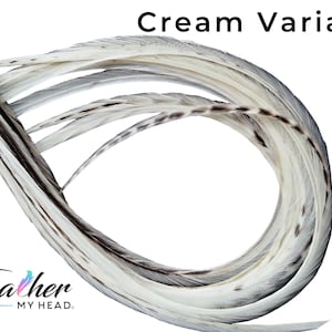 Cream Variant Hair Feather Extensions, Pick Your Length up to 16 Plus ...
