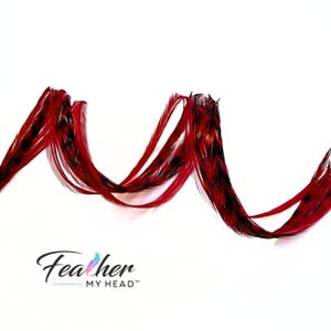 Deep Red Hair Feather Extension in Long Lengths up to 16" Long. Feather ...