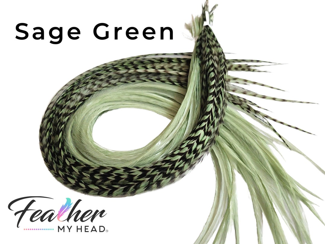 Sage Green Hair Feather Extensions. (1) Feather, Long Lengths and Hair ...