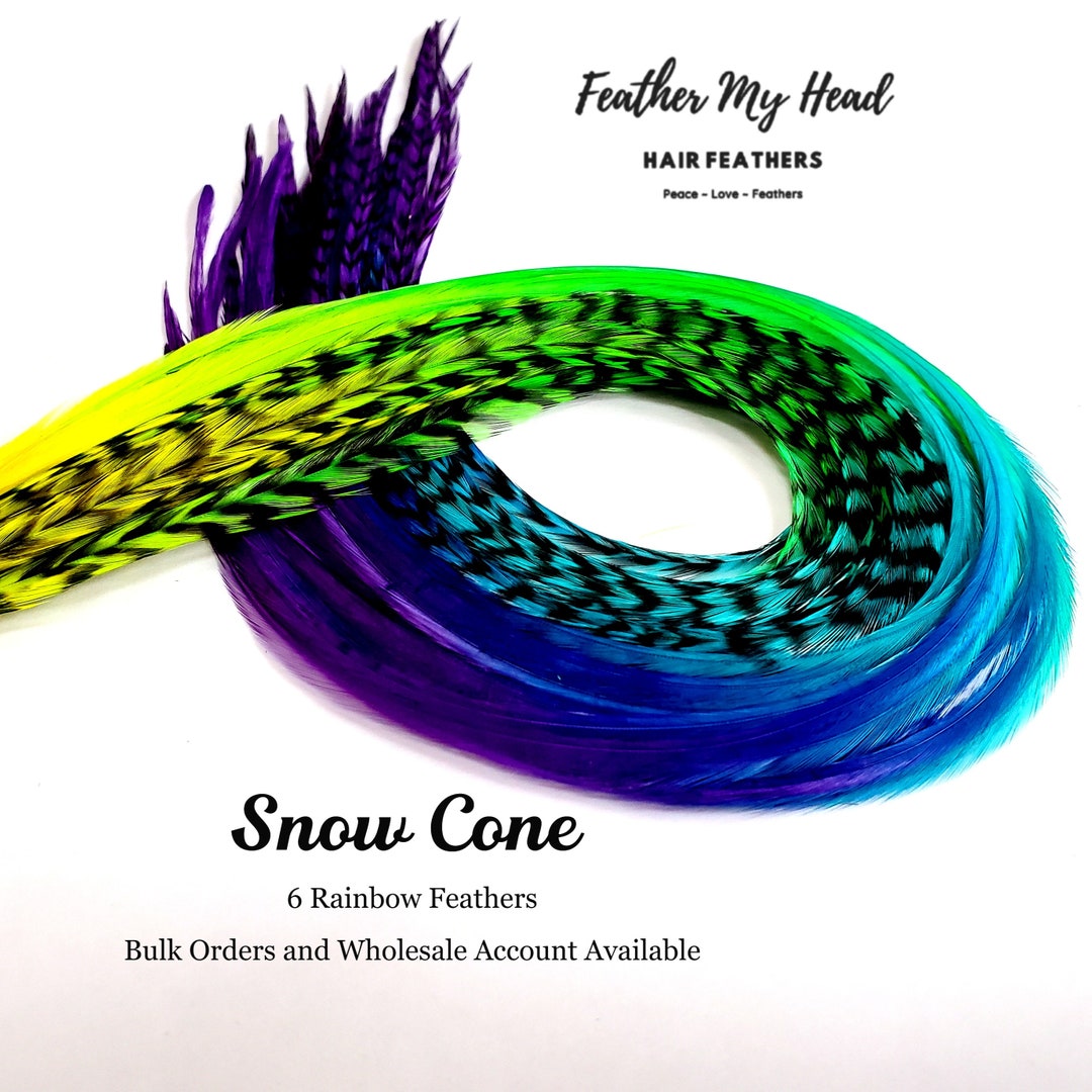 Snow Cone Hair Extensions, Multiple Colors on One Feather in Shades of ...