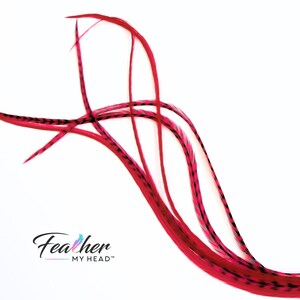 Red Hair Feather Extension Kit. 6 Real Feathers With Long Lengths ...