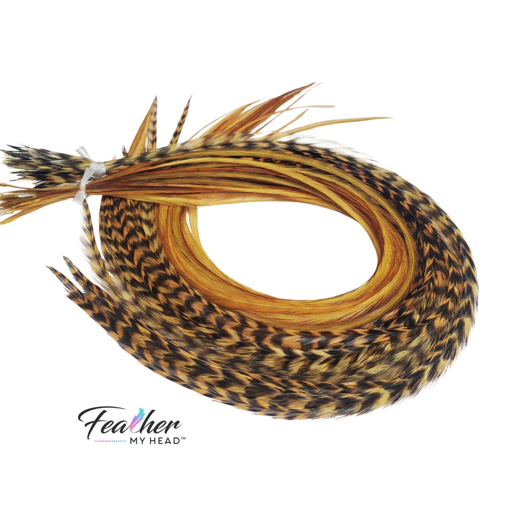 Caramel Brown Hair Feather Extensions Real Rooster Feathers 10-16 ...