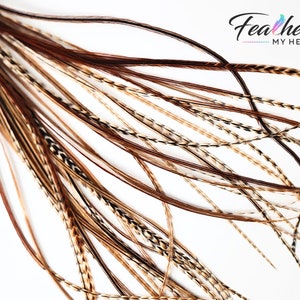 Barred Ginger Variant Hair Feathers, Rare and Unique - Pick Your Length ...