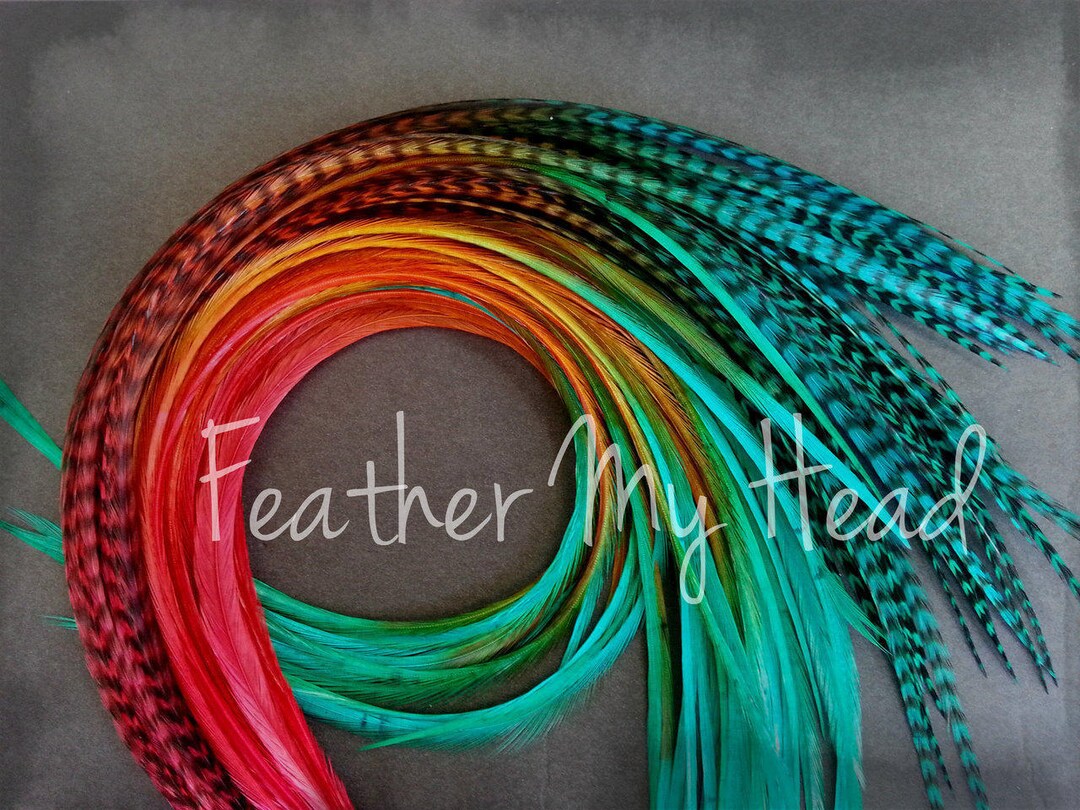 Feather Hair Extensions - Multi Color Long 9"-12" (23-30cm) - 5 Pc ...