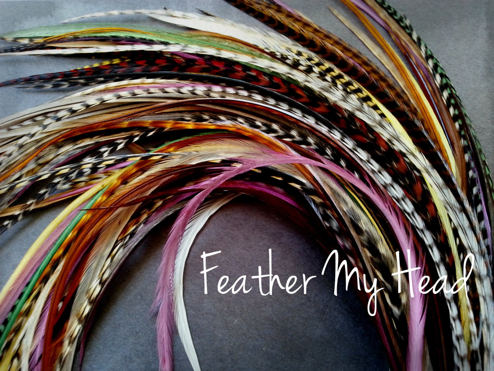 Feather Hair Extension Kit With 16 Hair Feathers Pick Your - Etsy