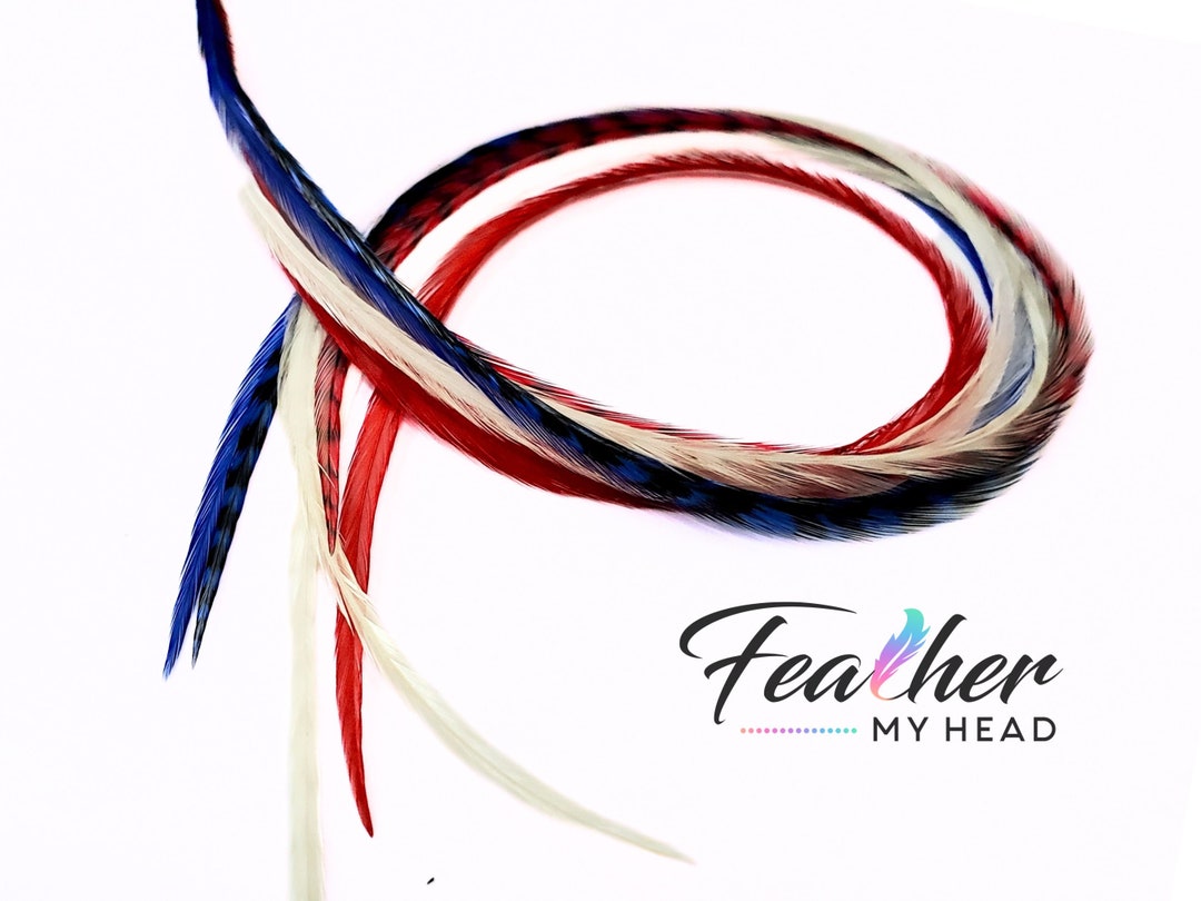 Hair Feathers, 6 Hair Feather Extensions, Pick Your Length up to 16 ...