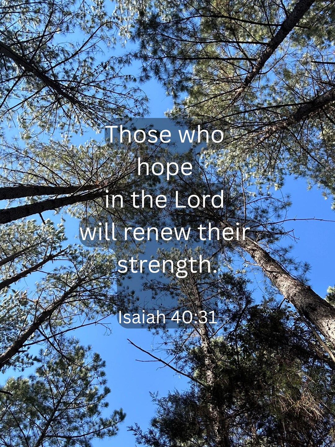Isaiah 40:31 Those Who Hope in the Lord DIGITAL DOWNLOAD Photo - Etsy