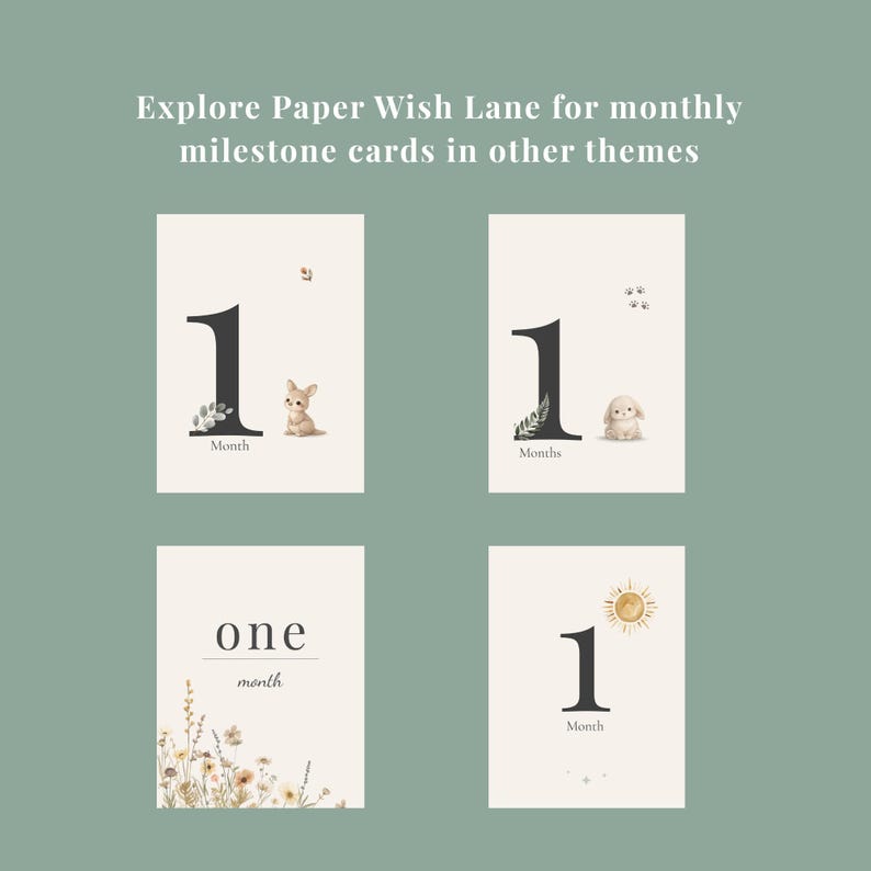 Baby Milestone Cards | Wildflower Meadow Spring | Monthly Baby Photo ...