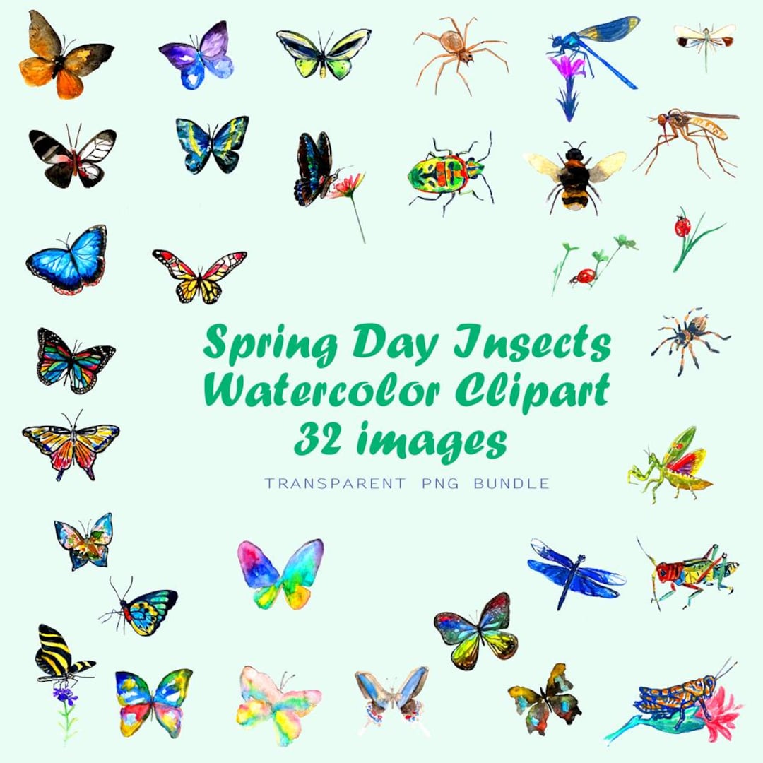 Spring Day Insects Hand-drawing Watercolor Illustration Clipart PNG ...