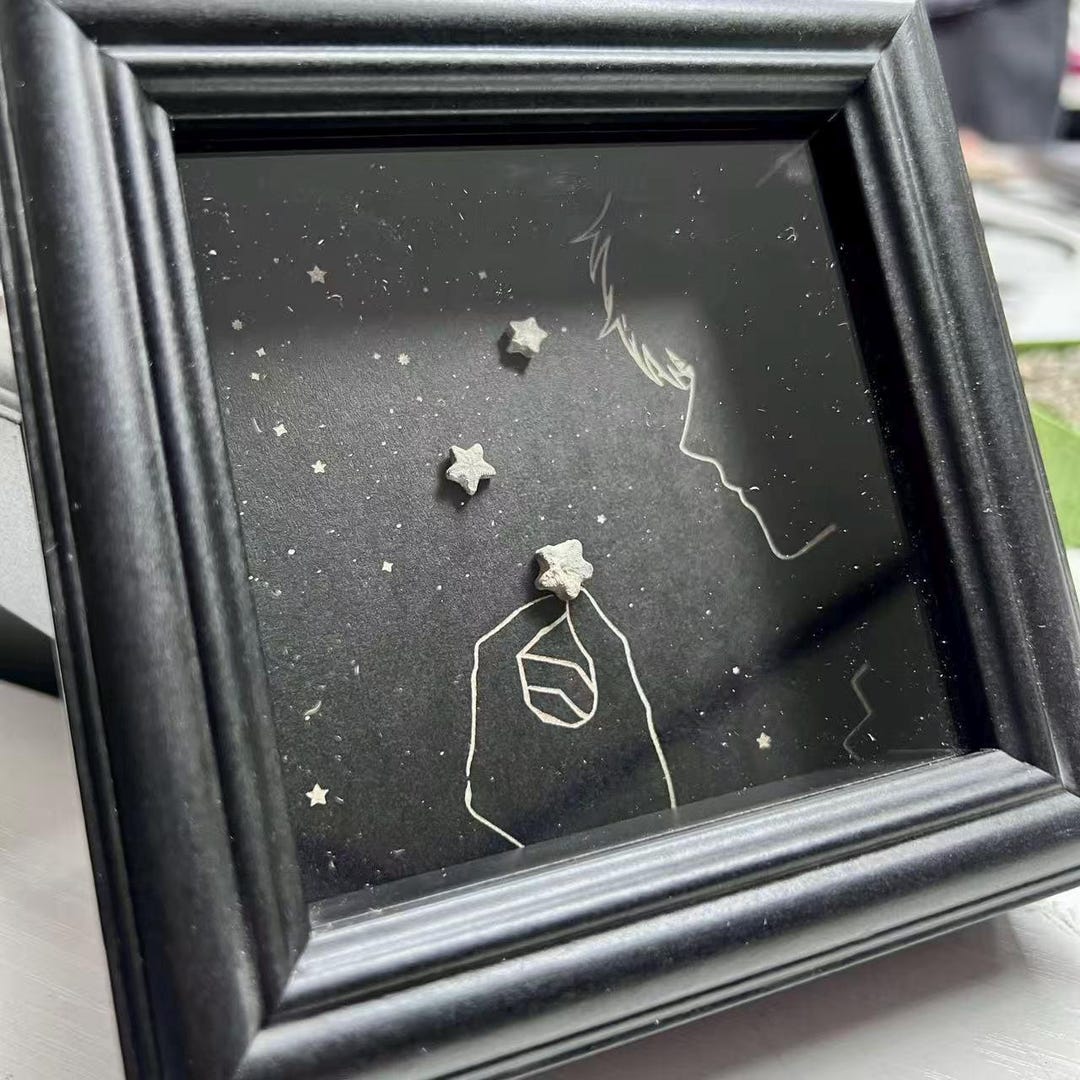 Pentacrinites Fossil Star Shadow Box, Crinoid Fossil Framed Art, Unique ...