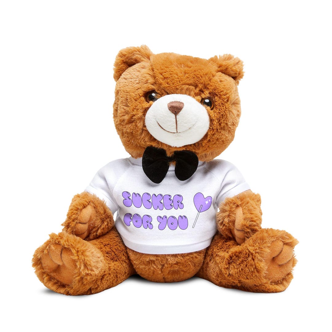 Sucker for You Teddy Bear Plush - Etsy