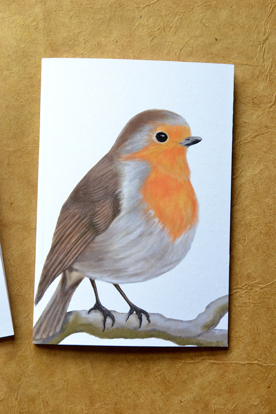 Robin Notebook Woodland Animal Robin Bird A6 Eco and Recycled Compact ...