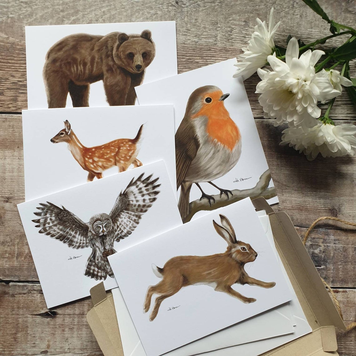 Woodland Animals Card Set Greeting Card Set | Etsy