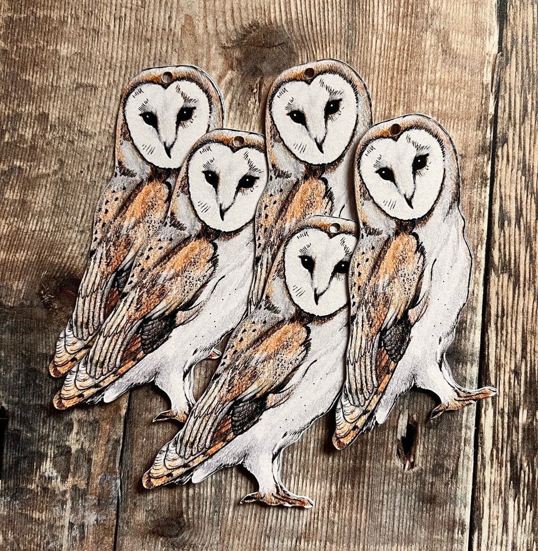 Barn Owl Gift Tags, Woodland Tags - Etsy