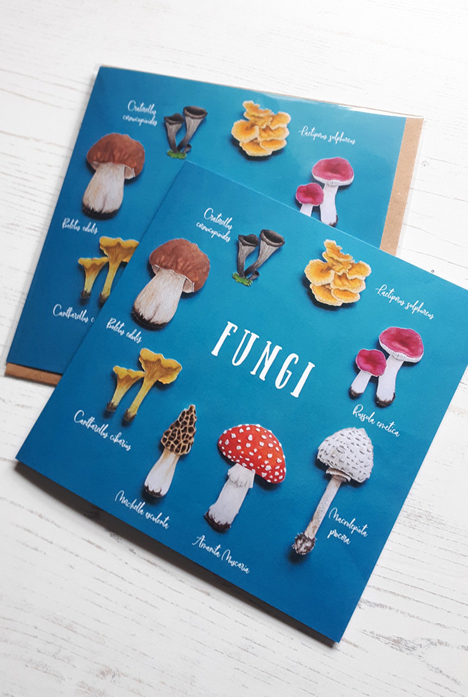 Mushroom Card - Fungi Greeting Card - Etsy