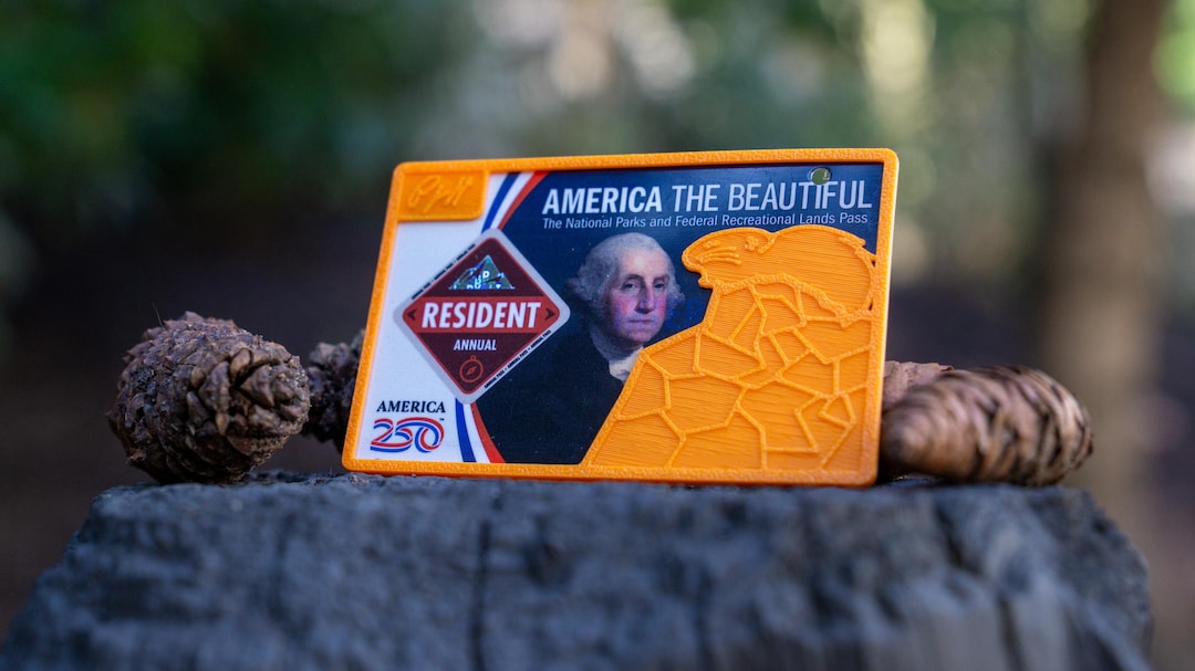2026 America the Beautiful Pass Sleeve: Screaming Pika - Etsy
