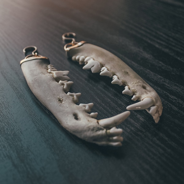 Ear Weights - Etsy
