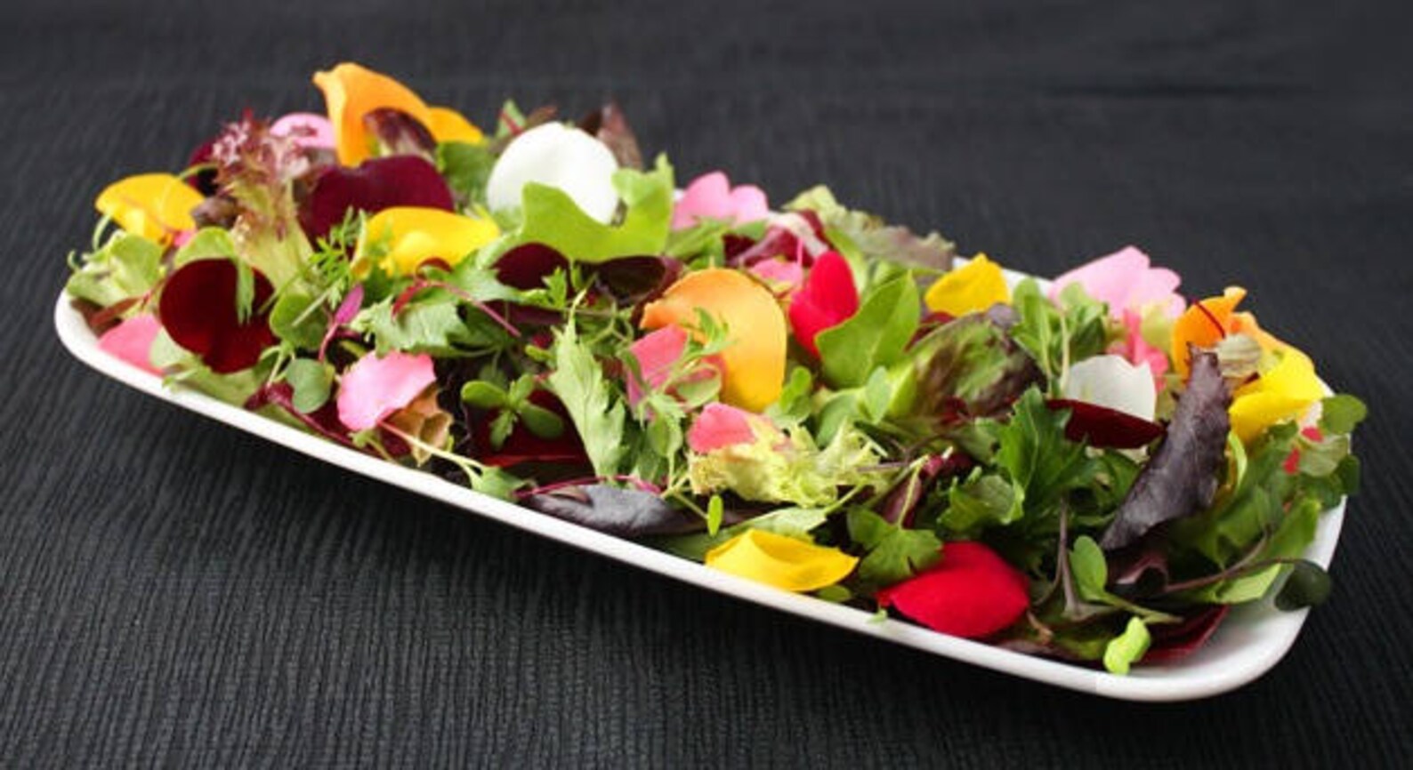 EDIBLE FLOWERS DIANTHUS Miniature Real Organic Flowers Bulk - Etsy