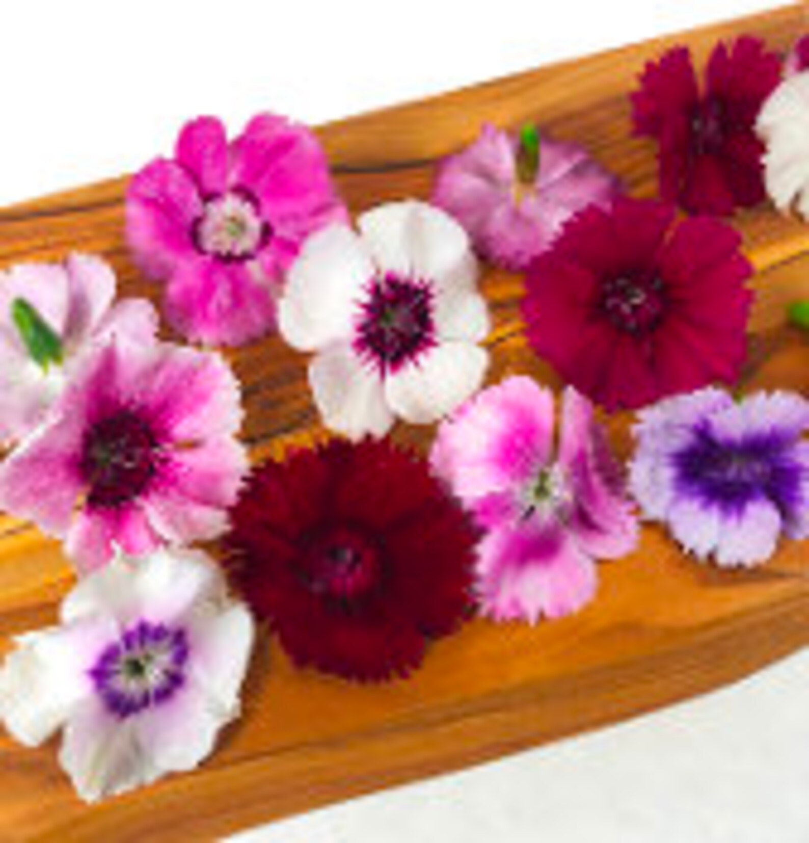 EDIBLE FLOWERS DIANTHUS Miniature Real Organic Flowers Bulk - Etsy
