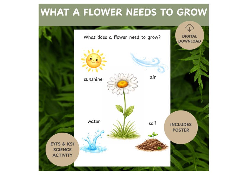 What Plants Need to Grow Worksheet | Spring Cut and Stick Activity ...