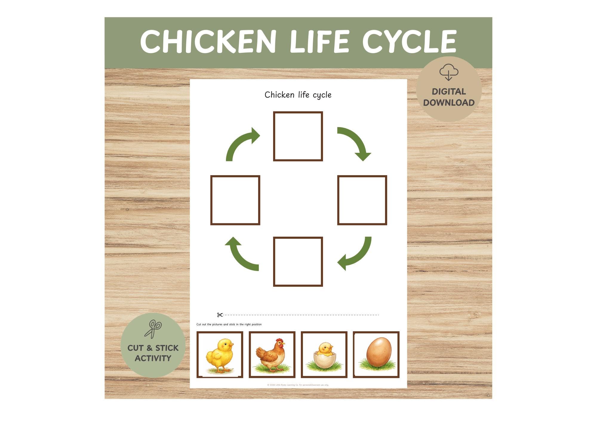 EYFS Chicken Life Cycle Activity | Early Years Science Worksheet ...