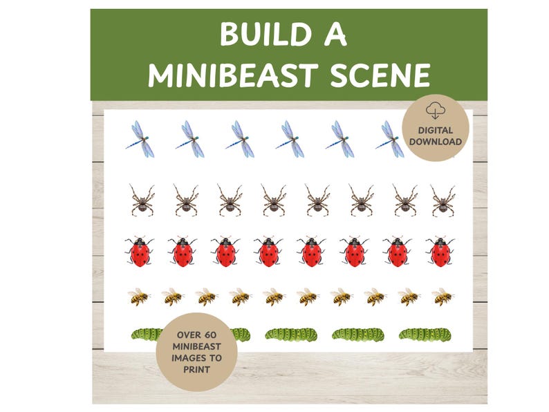 EYFS Minibeast Counting Activity Printable | Build a Scene, Numbers to ...