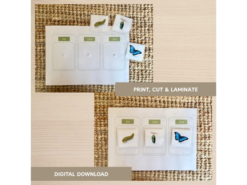 Sequencing Cards, Preschool Curriculum Printable, Speech Therapy Tool ...