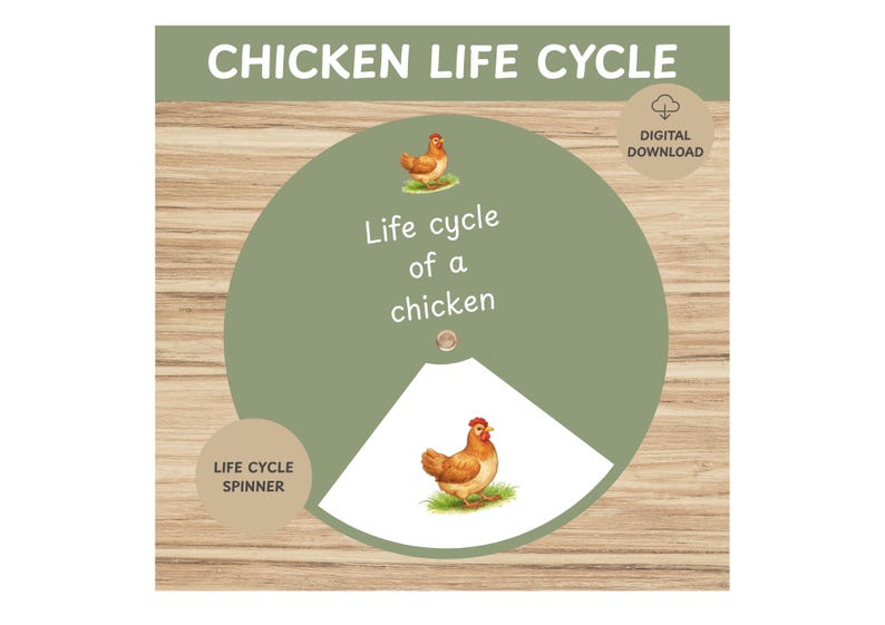 EYFS Chicken Life Cycle Activity | Early Years Science Worksheet ...
