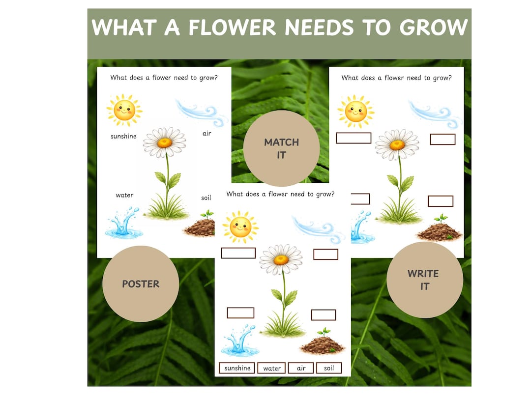What Plants Need to Grow Worksheet | Spring Cut and Stick Activity ...