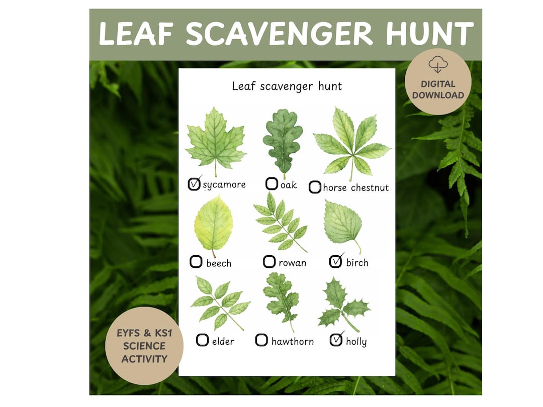 Leaf Scavenger Nature Hunt Printable | EYFS Forest School Tree ...