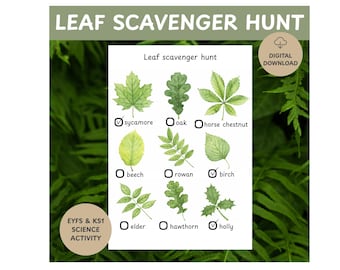 Leaf Scavenger Hunt Printable | UK Tree Identification, Outdoor ...